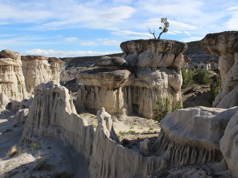 Lybrook Badlands | Bloomfield New Mexico