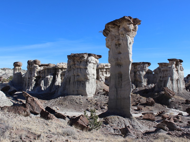Lybrook Badlands | Bloomfield New Mexico