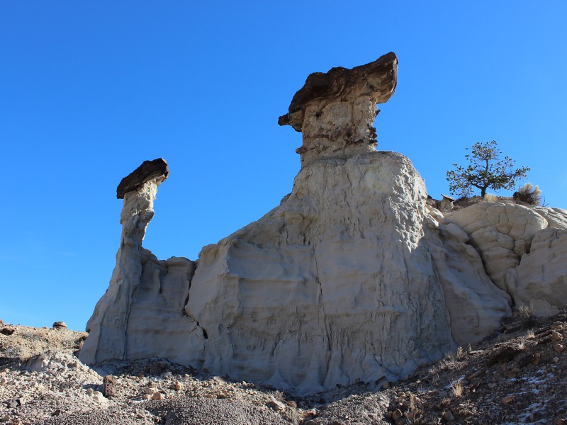 Lybrook Badlands | Bloomfield New Mexico